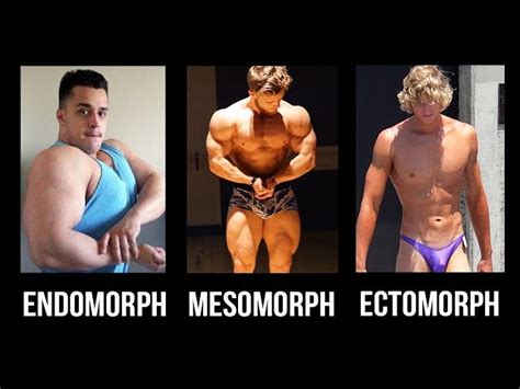 Endomorph Ectomorph Mesomorph Whats The Difference Understanding The