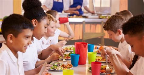 Todo Lo Que Necesitas Saber Sobre El Curso Monitor De Comedor Escolar