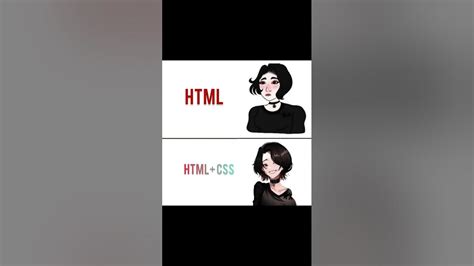 Funny Html And Css Meme Codememes Youtube