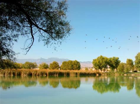 Floyd Lamb Park At Tule Springs Las Vegas Nv