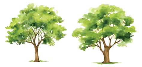 Architectural Section Background Images Browse Stock Photos Vectors And Video Adobe