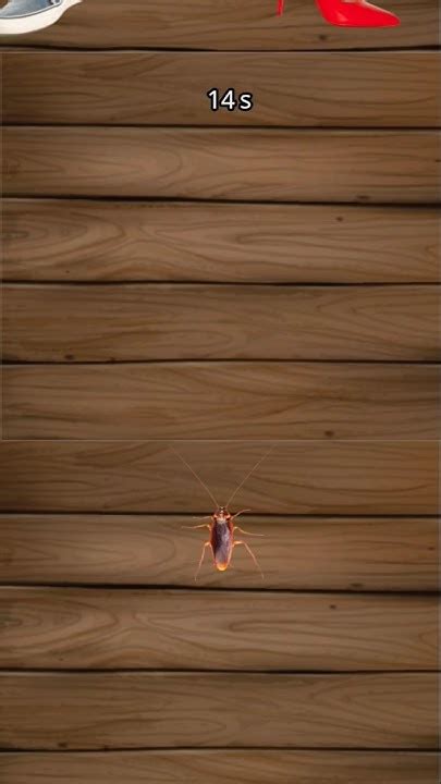 Coacroach In My House 😮🤥trendingshorts Viralshort Games Youtube