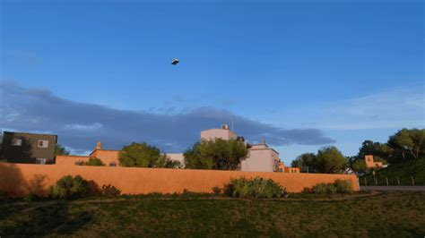 Passing Syclone Caught A Flying Bug Rforzahorizon