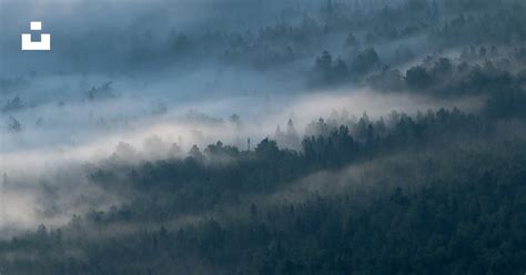 구름으로 뒤덮인 산 위를 날고 있는 비행기 사진 Unsplash의 무료 숲 이미지