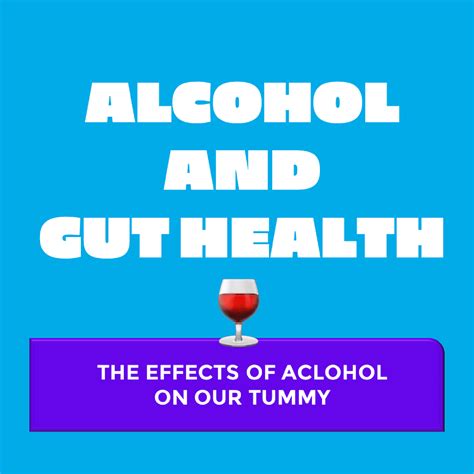 Alcohol And Gut Health Tummy Mot