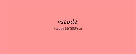 Vscode How To Use Svn VSCode Php Cn