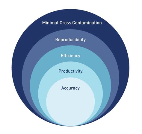 From Frustration To Precision How Automation Enhances Productivity