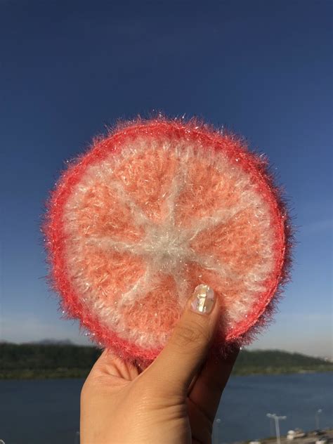 🍋상큼 수세미오렌지 라임 자몽 레몬🍊 아이디어스