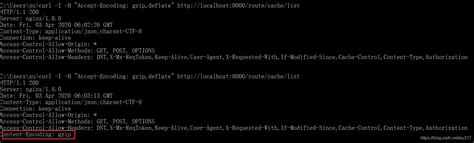 Nginx Gzip配置与测试 Csdn博客