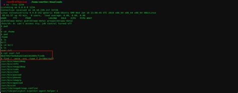 Raghav Mishra On Linkedin Cybersecurity Tryhackme Vulnversity