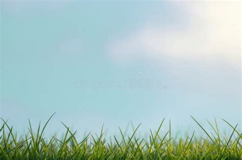 A Field Of Green Grass With A Blue Sky In The Background Stock