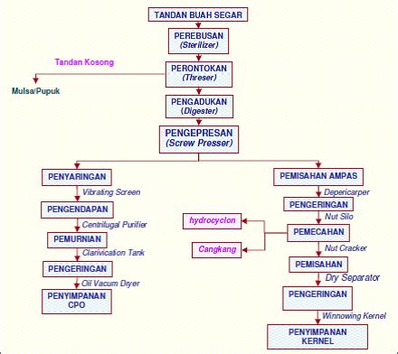 Diagram Alir Proses Pengolahan Kelapa Sawit Secara Lengkap P