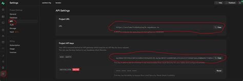 Error 500 Supabaseurl Is Required · Issue 3 · Zackhasupaauth · Github