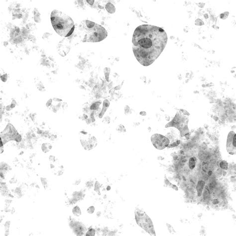 Barnacles Texture Spec Exponent Map