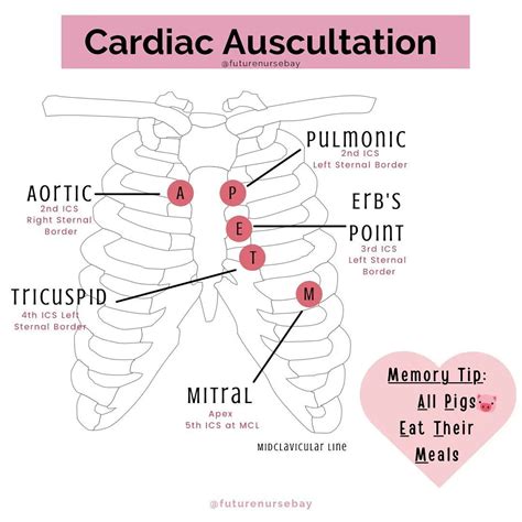 Usmle Helps Hyperkalemia Follow 👇 Usmlehelps Credit Drgohari Doctor Medicine Medical