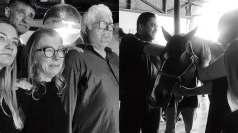 Cavalo se despede de criança que morreu ao cair do próprio animal