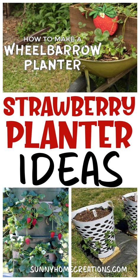 An Easy Way To Grow Strawberries In Hanging Baskets Artofit