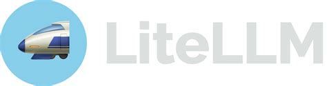 Litellm Status