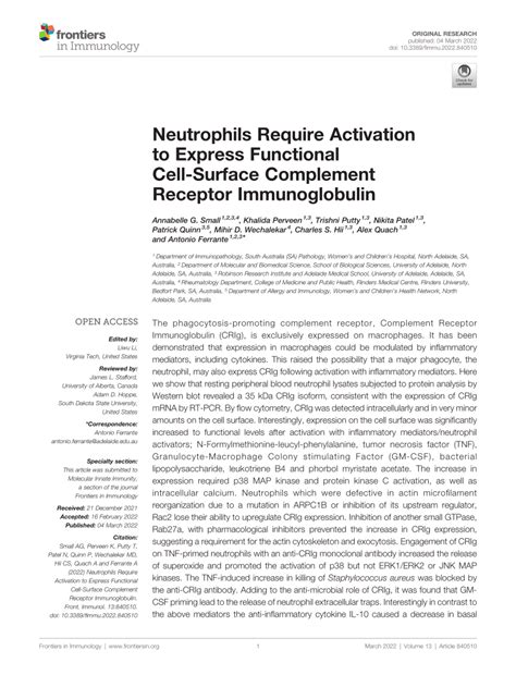 Pdf Neutrophils Require Activation To Express Functional Cell Surface Complement Receptor