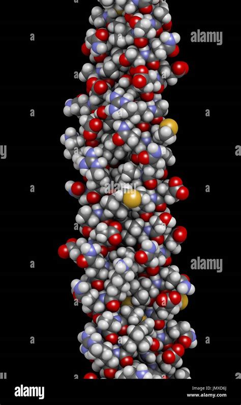 Keratin Structure