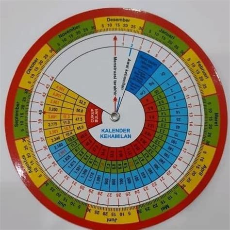 Rotary Pregnancy Calendarfetus Pregnancy Age Counting Toolpregnant