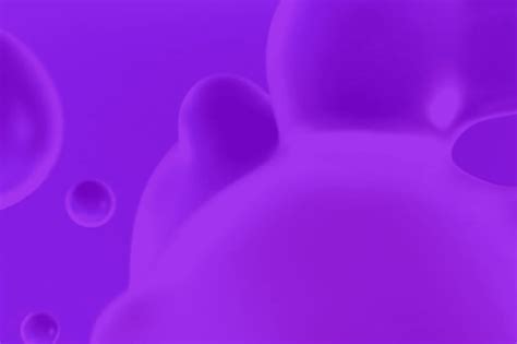 Program Overview