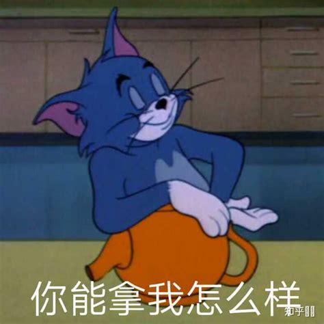 有哪些适合怼人的表情包？ 知乎