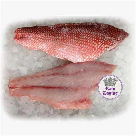 Jual Ikan Kakap Merah Fillet Kakap Filet Kakap Merah 1kg Shopee