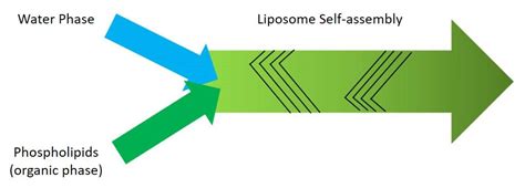 Liposome Preparation Through Microfluidic Methods Darwin Microfluidics