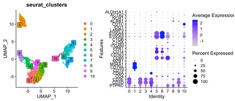 四行代码完成单细胞转录组的降维聚类分群 腾讯云开发者社区 腾讯云