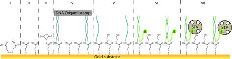 Nanoscale Patterning Of Self Assembled Monolayers