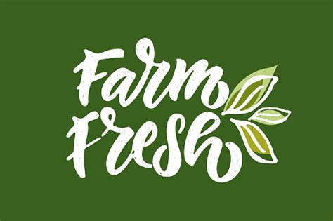 손으로 스케치 배지와 채식주의 자 채식주의 자 원시 에코 바이오 천연 신선한 글루텐 및 Gmo 무료 식품 다이어트 디자인 제품