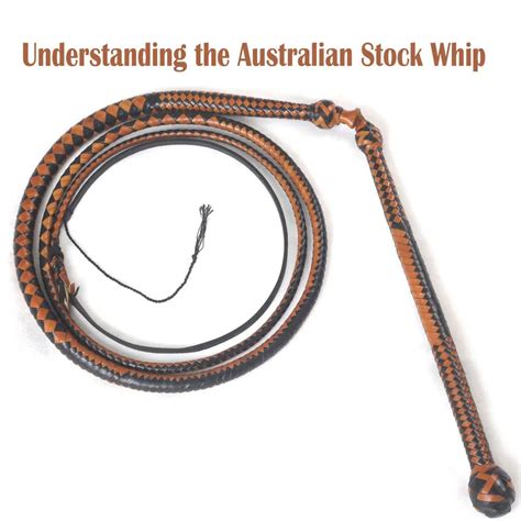 Stock Whip Guide Uses Types How It Works And Buying Tips Leather Bond
