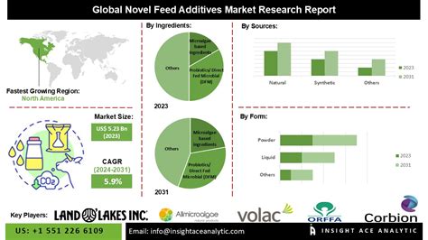 Novel Feed Additives Market Deep Analysis Report 2025 To 2034