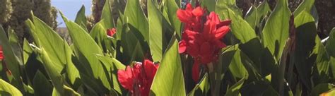 Selected Publications Congruence Couple Therapy Research And Knowledge