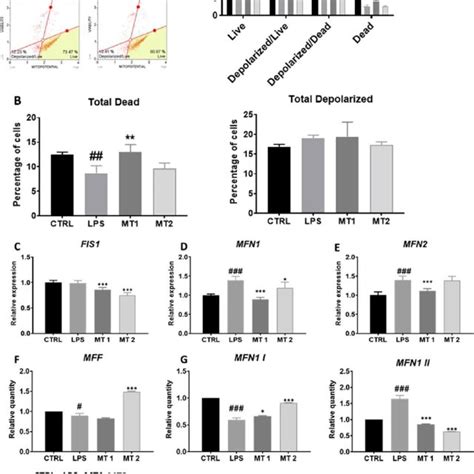 Regulation Of Mitochondrial Metabolism And Dynamics Oxidative Stress