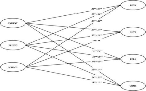 Multigroup Comparison Of The Structural Equation Model For Basic
