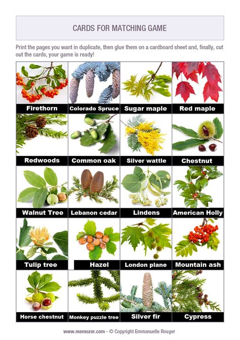 Printable Matching Game For Seniors Leaves Of Trees Print And Cut Out The Cards Memozor