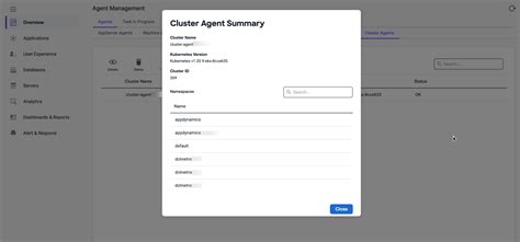 Use The Cluster Agent