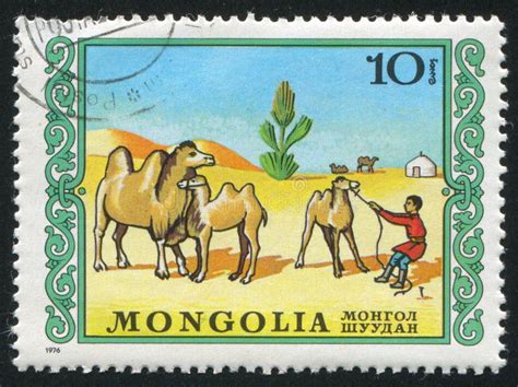 Camel Editorial Photo Image Of Camel Mongolia Desert 302503726