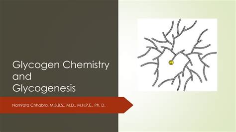 A Quick Review Of Glycogen Chemistry And Glycogenesis Ppt