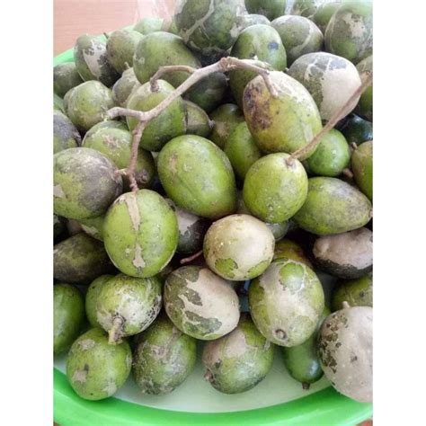 Jual Buah Kedondong1kg Shopee Indonesia