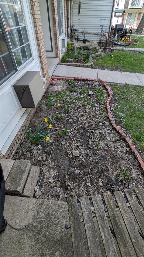 This Is My Garden Plot I Want To Redo It With Native Plants All