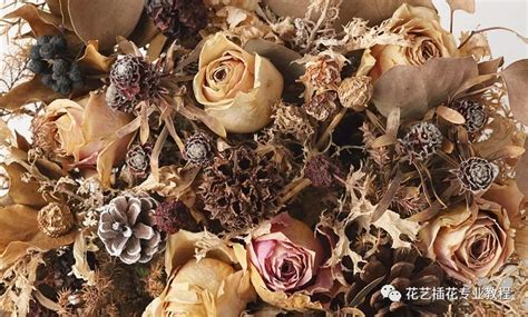哪些植物适合制作成干花有哪些制作干花的办法 凤凰网