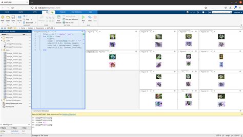Using Matlab Through Docker Case Mri