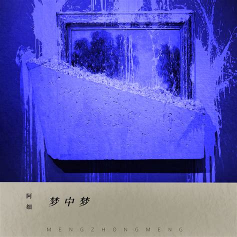 梦中梦 阿细 高音质在线试听 梦中梦歌词 歌曲下载 酷狗音乐