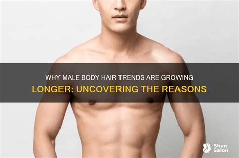 Why Male Body Hair Trends Are Growing Longer Uncovering The Reasons