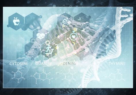 D Dna Dna