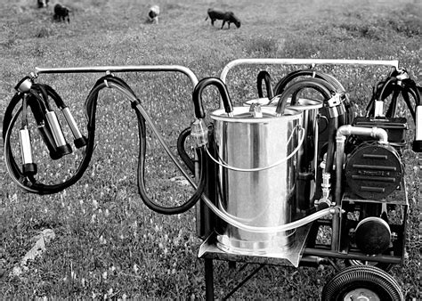 Milk Machine Girls