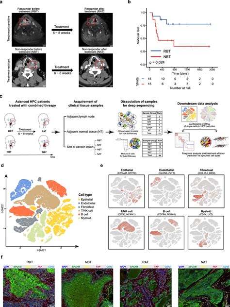 Clinical Features And Single Cell Landscapes Of Collected Hpc Samples